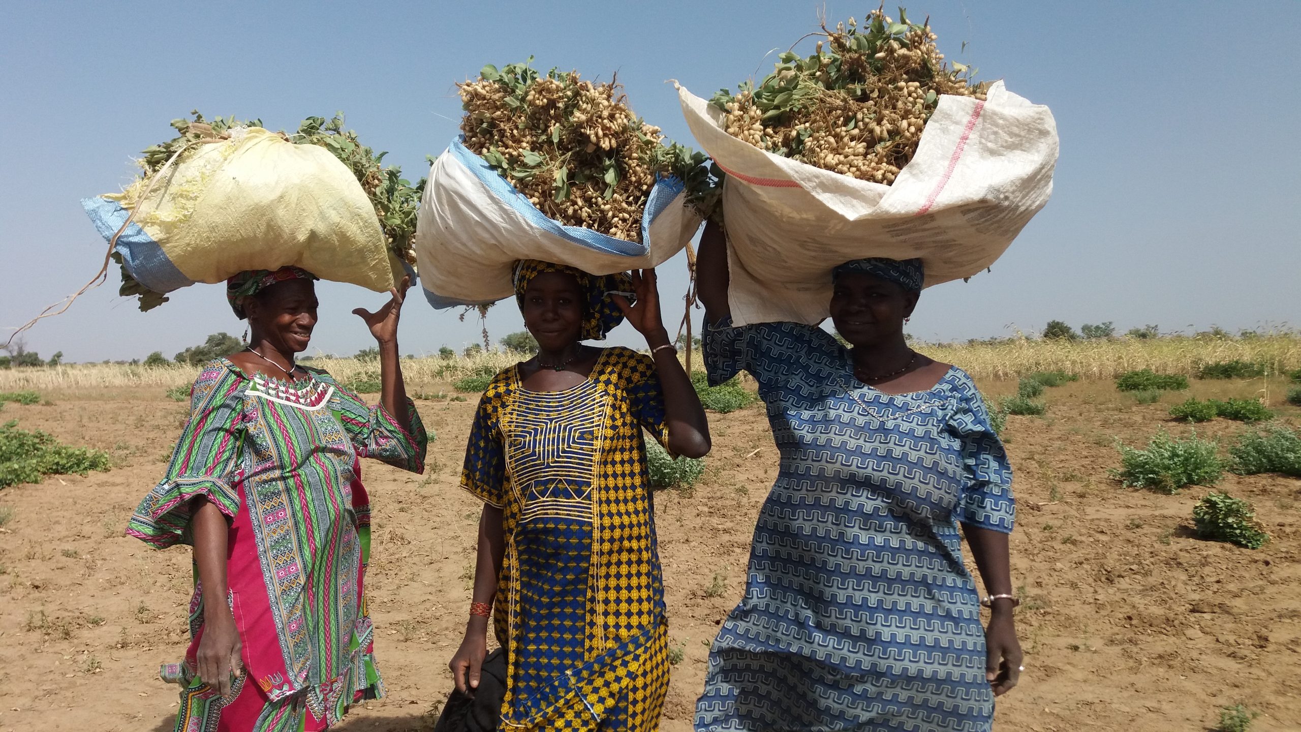 Best Practices and Lessons Learned from the Successful Implementation ...