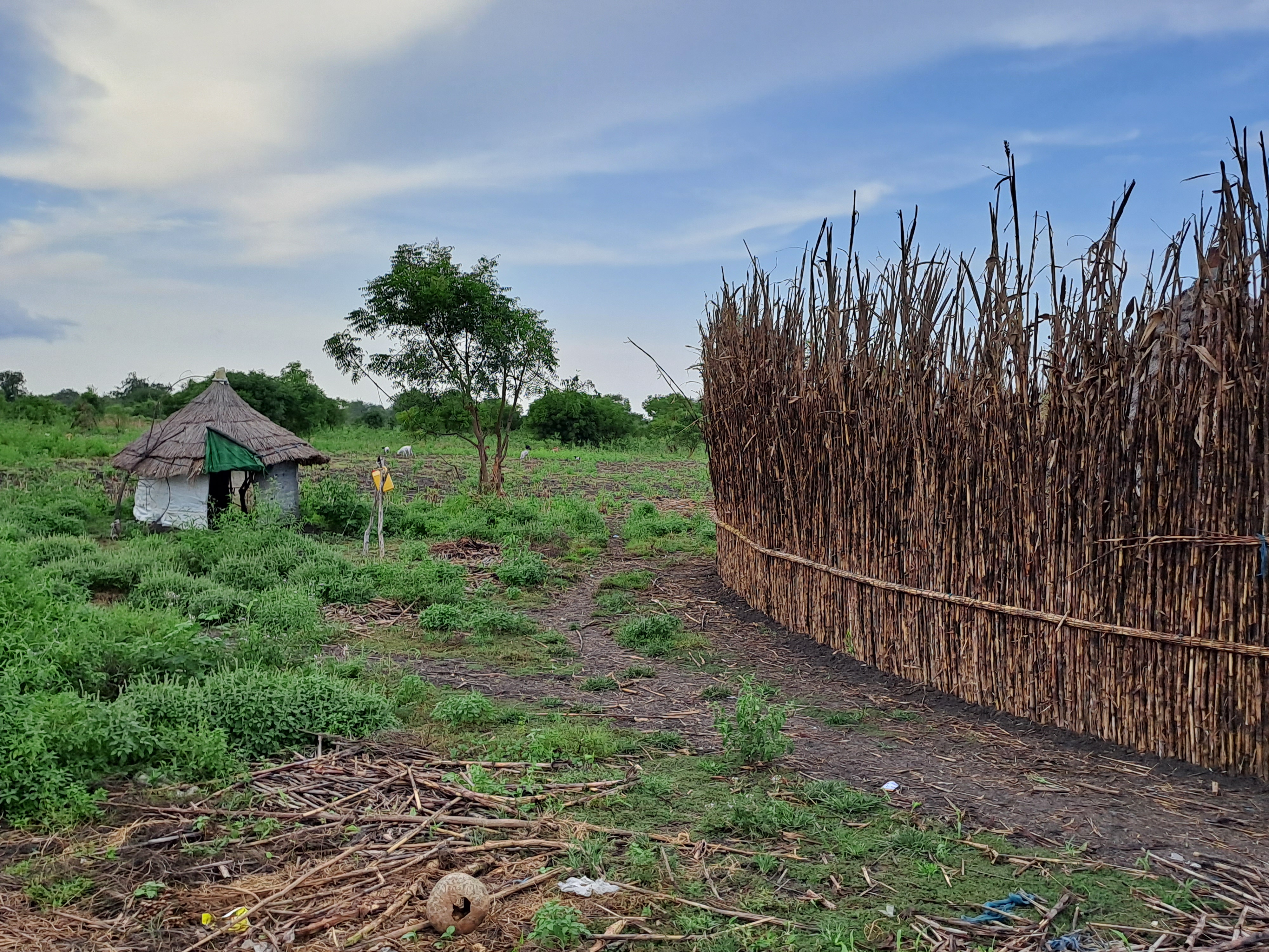 How Latrines Are Changing Lives in Akobo County, South Sudan - DTGlobal