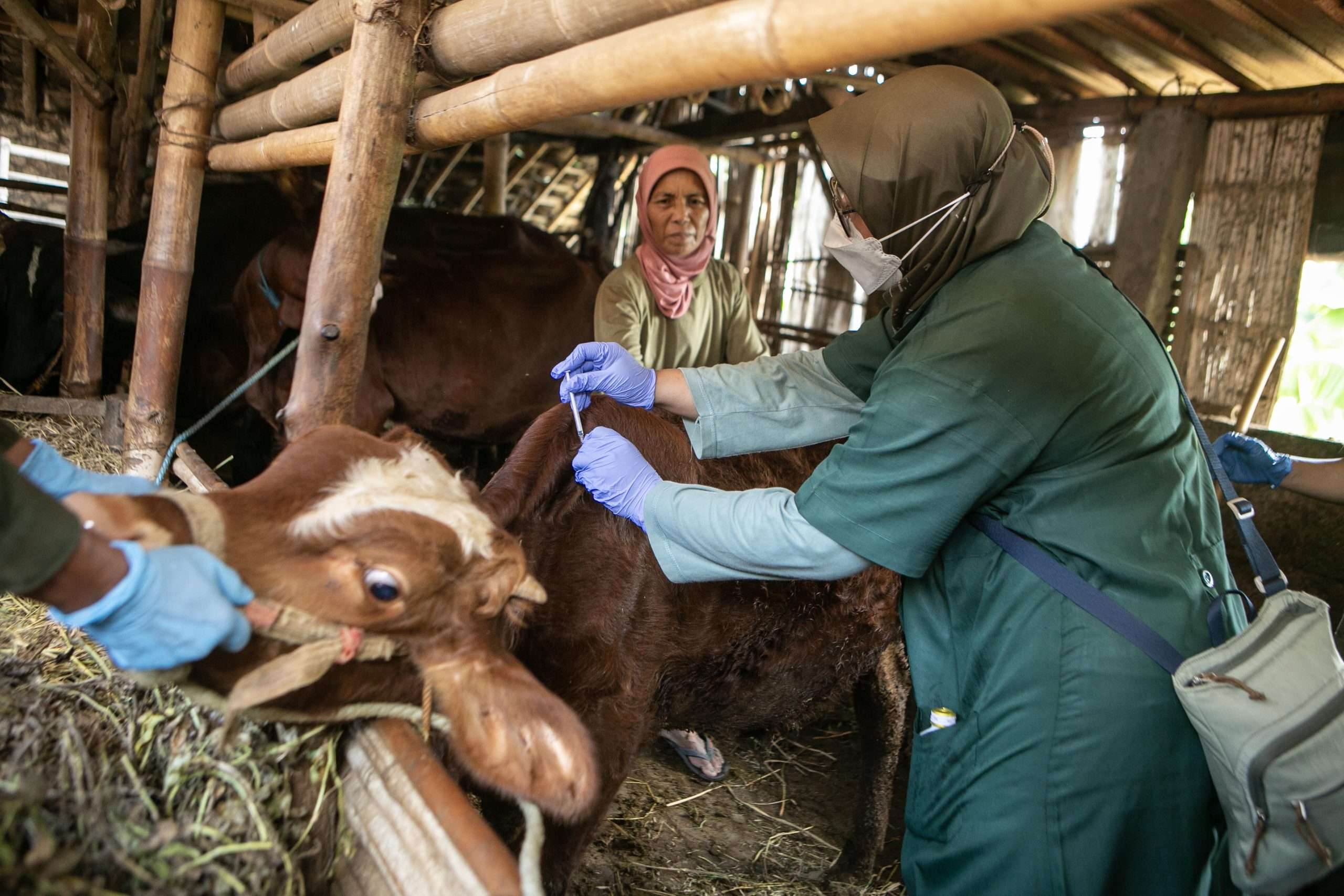Indonesia: Supporting Health Security - DTGlobal