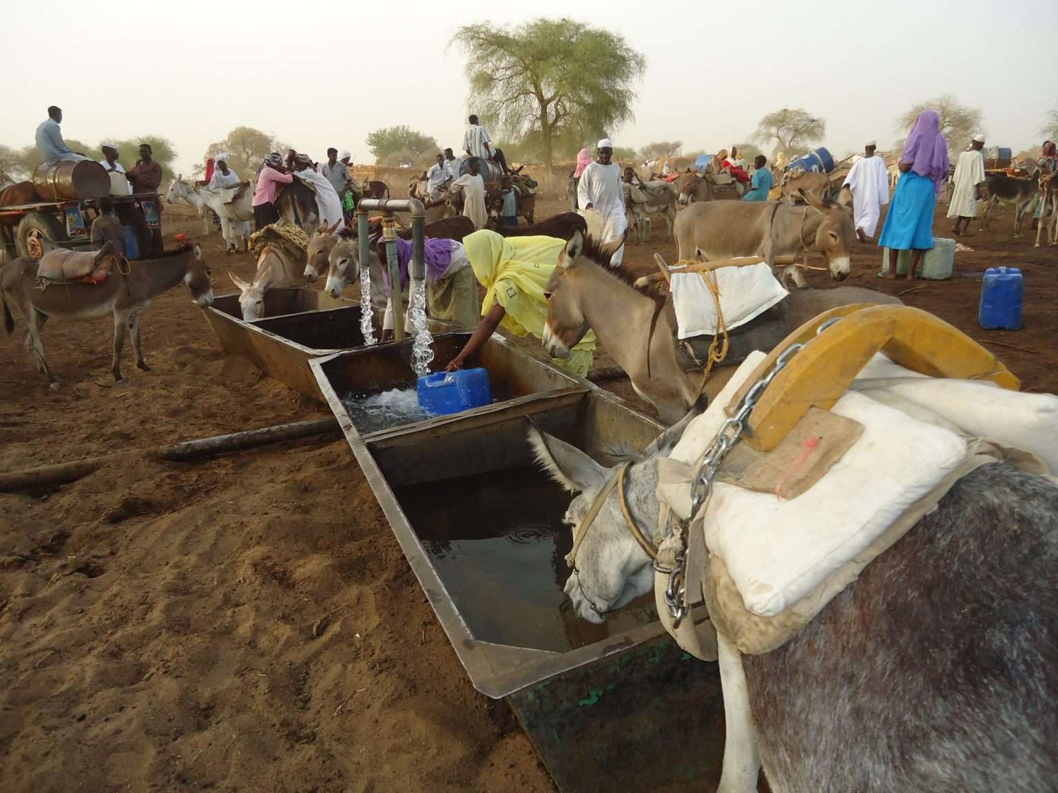 Emergency Response Rooms in Sudan: A Beacon of Hope - DTGlobal Emergency Response Rooms in Sudan: A Beacon of Hope - DTGlobal